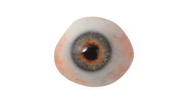 Prótesis Oculares - Laboratorio Óptico